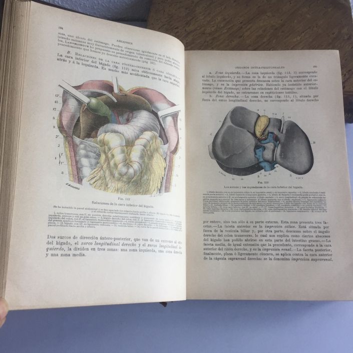 Tratado de Anatomía Topográfica - L. Testut / O. Jacob