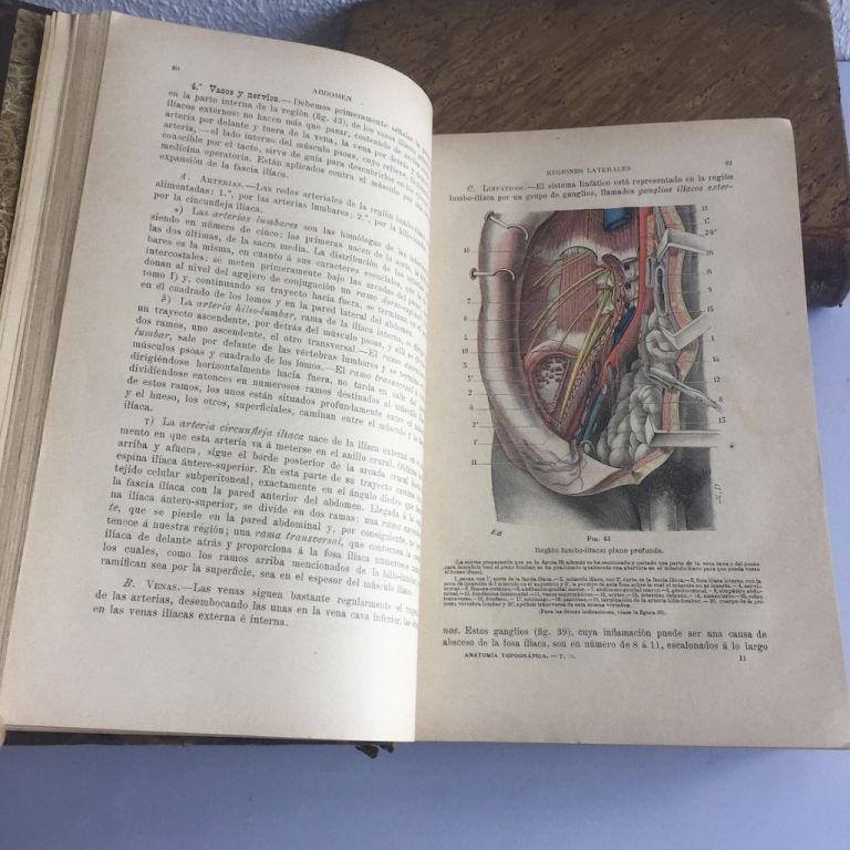Tratado de Anatomía Topográfica - L. Testut / O. Jacob
