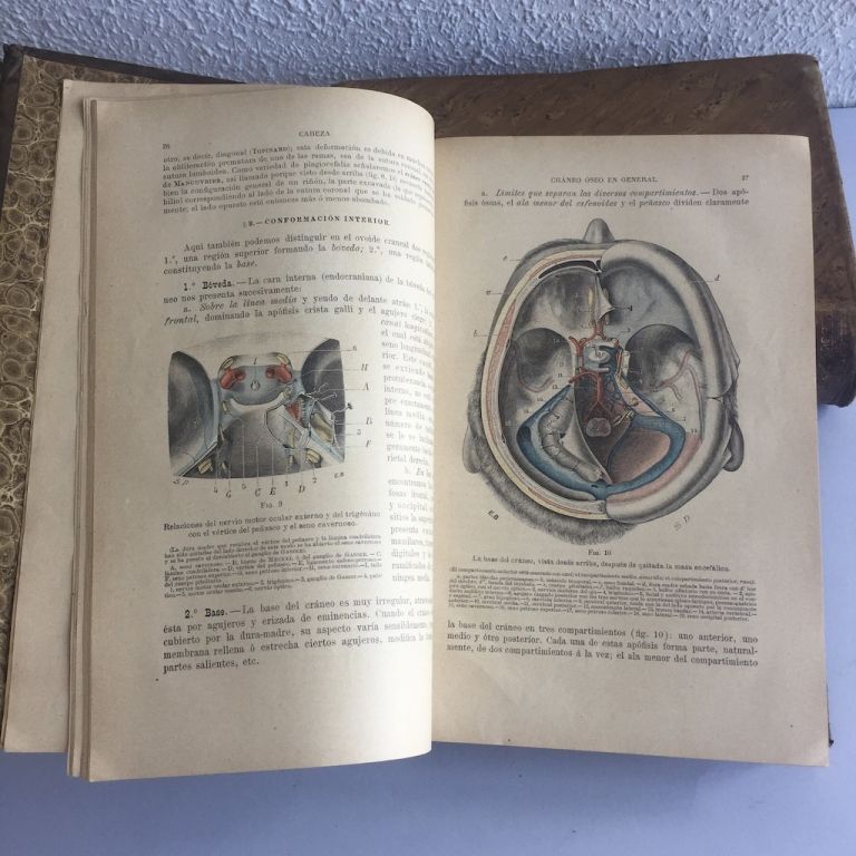 Tratado de Anatomía Topográfica - L. Testut / O. Jacob